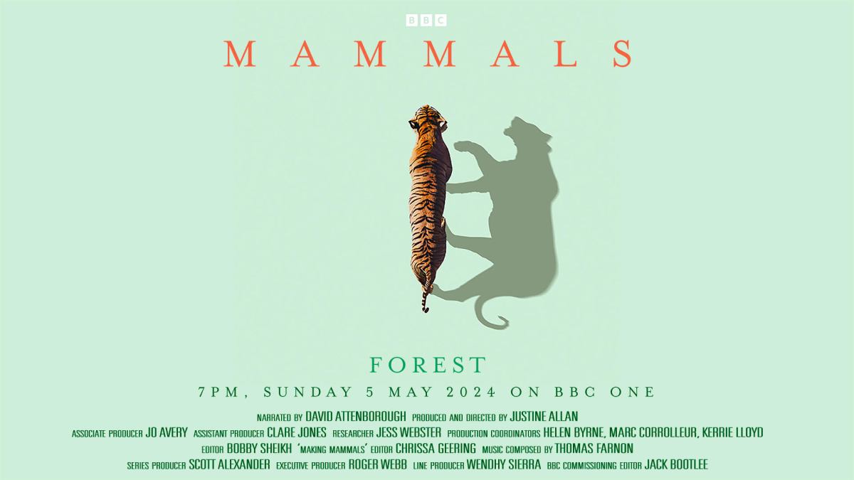 BBC: Mammals – Forest | mrlowndes